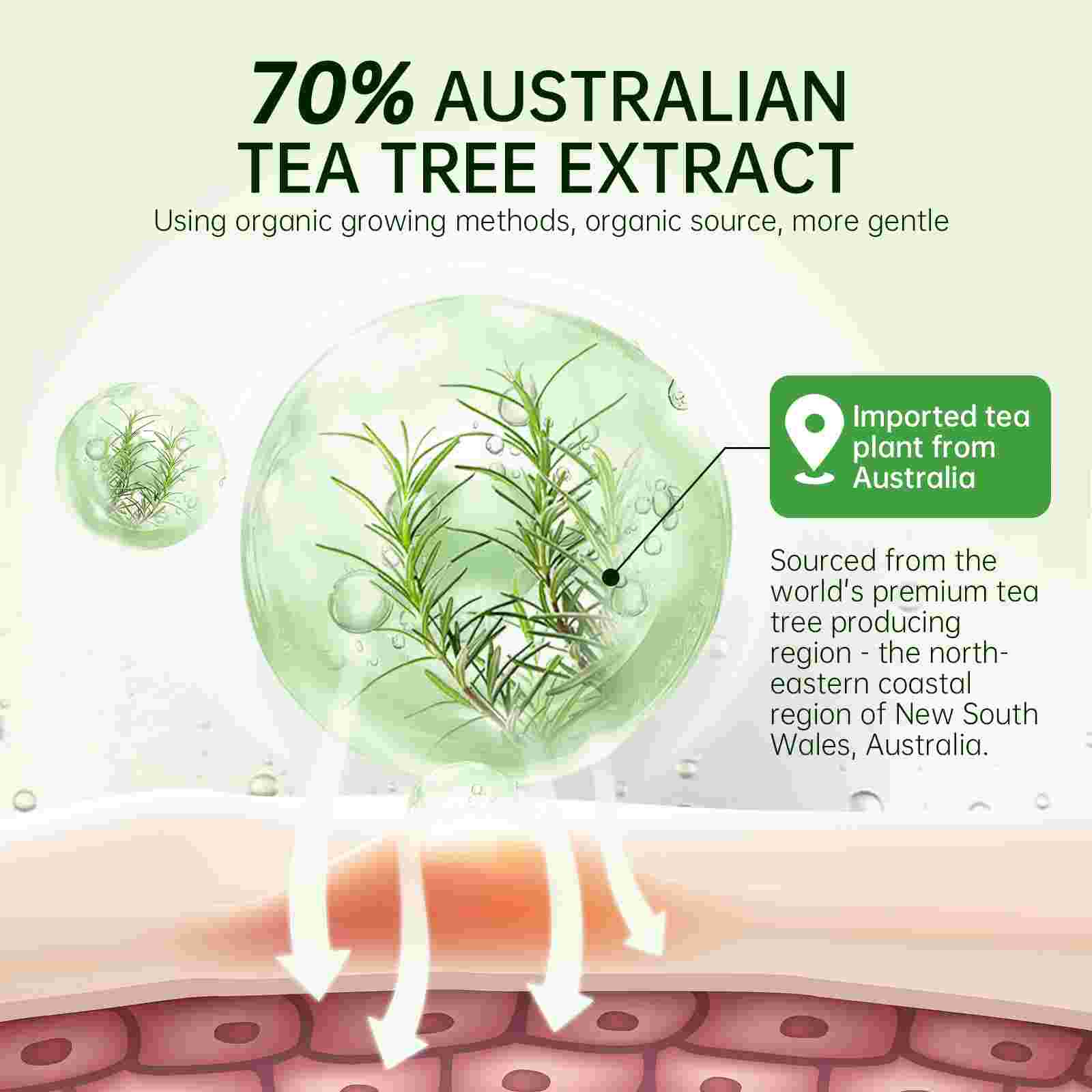 JellyPrim OEM Tea Tree Essential Oil Acne Removal Skin Care Set ...